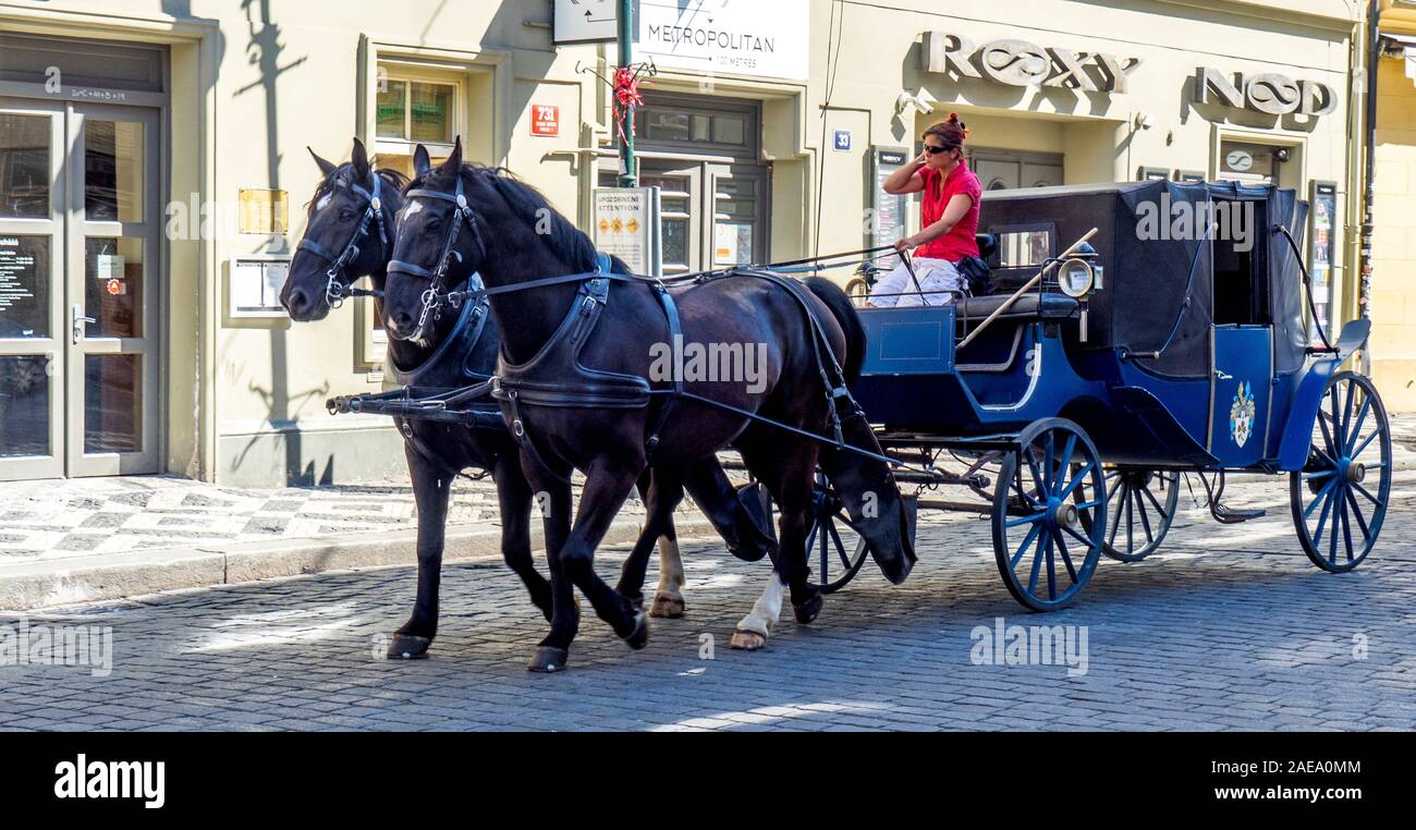 Female horse drawn carriage driver hi-res stock photography and images ...
