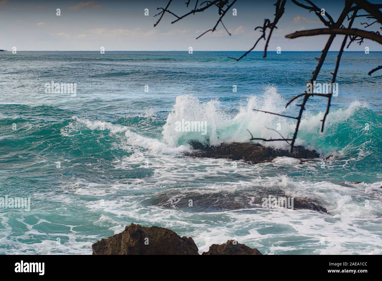 Hatillo puerto rico hi-res stock photography and images - Alamy