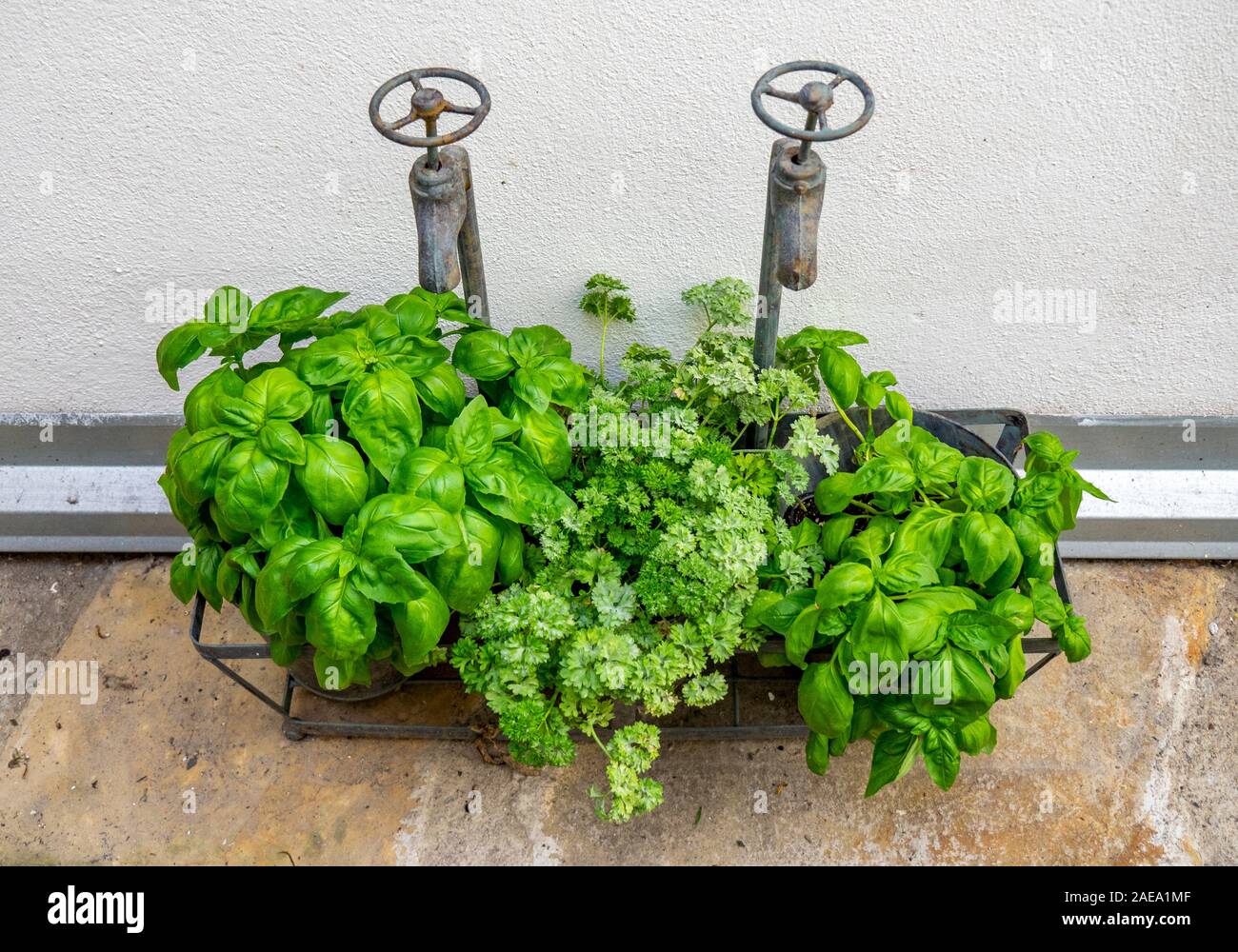 Faucet faucets hi-res stock photography and images - Alamy