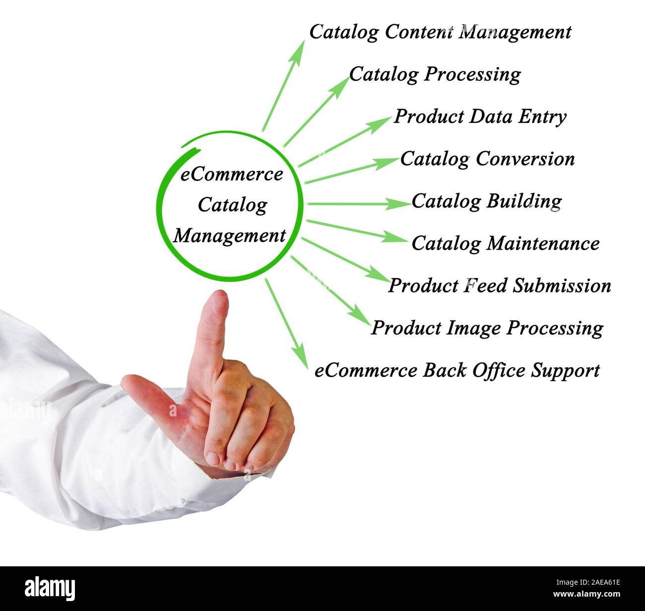 Image catalog Cut Out Stock Images & Pictures - Alamy