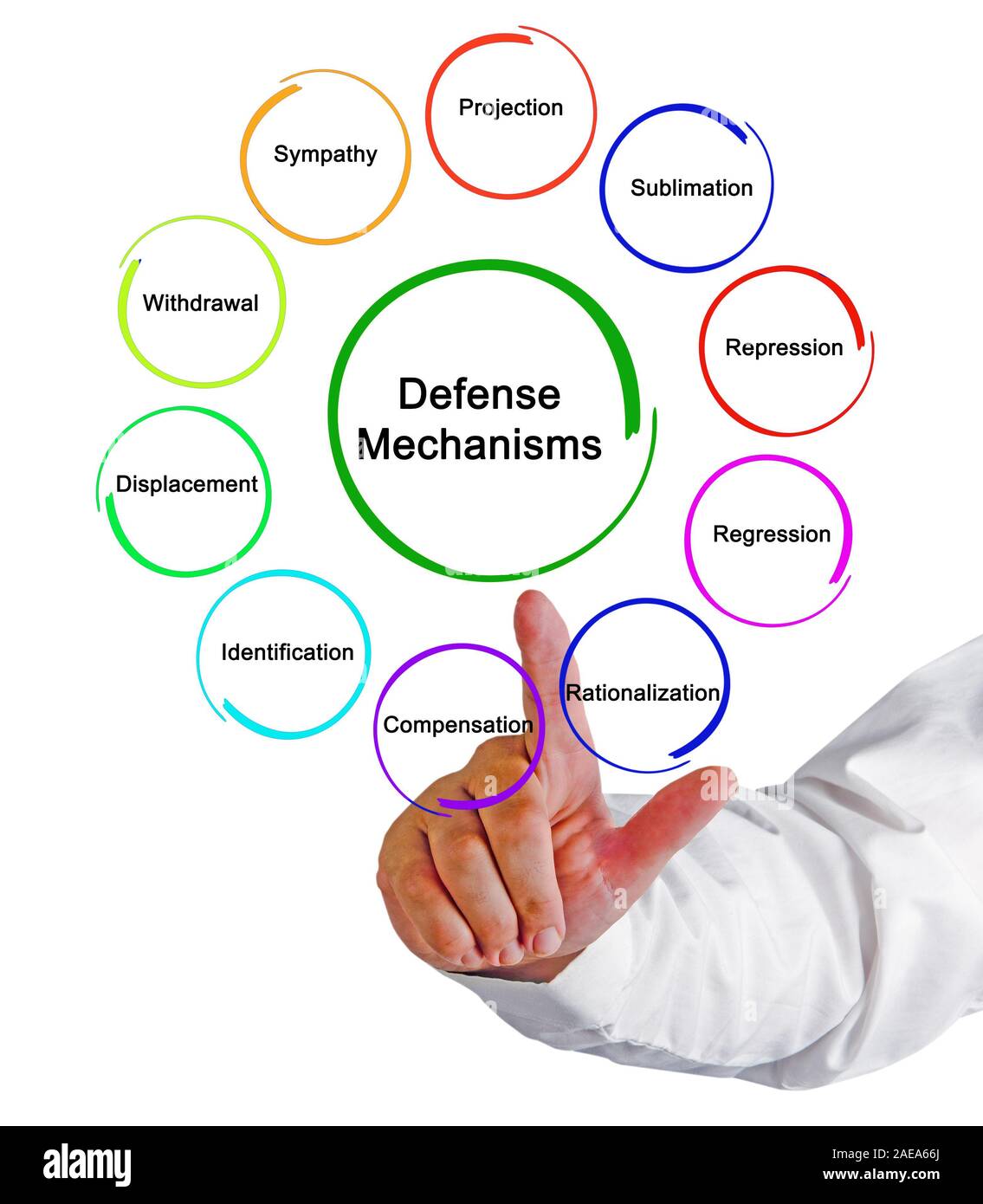 Defence mechanisms hi-res stock photography and images - Alamy