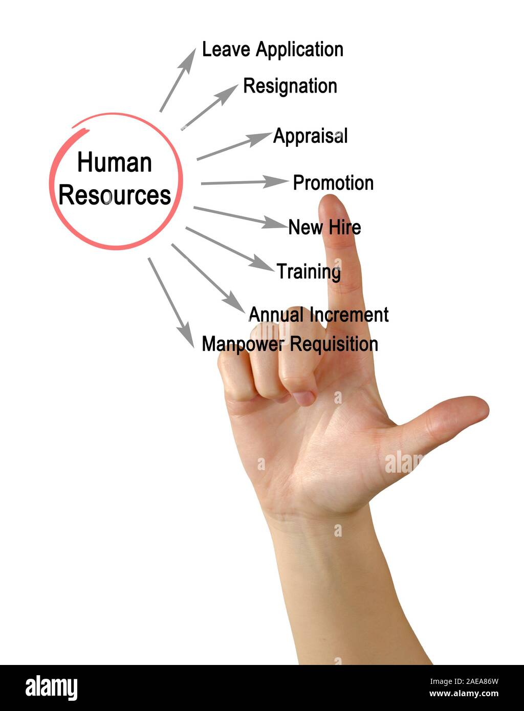 Functions of Human Resources management Stock Photo - Alamy