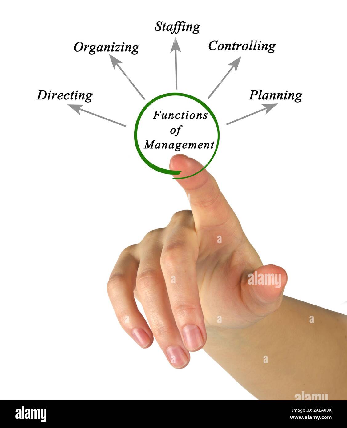 functions of Management Stock Photo - Alamy