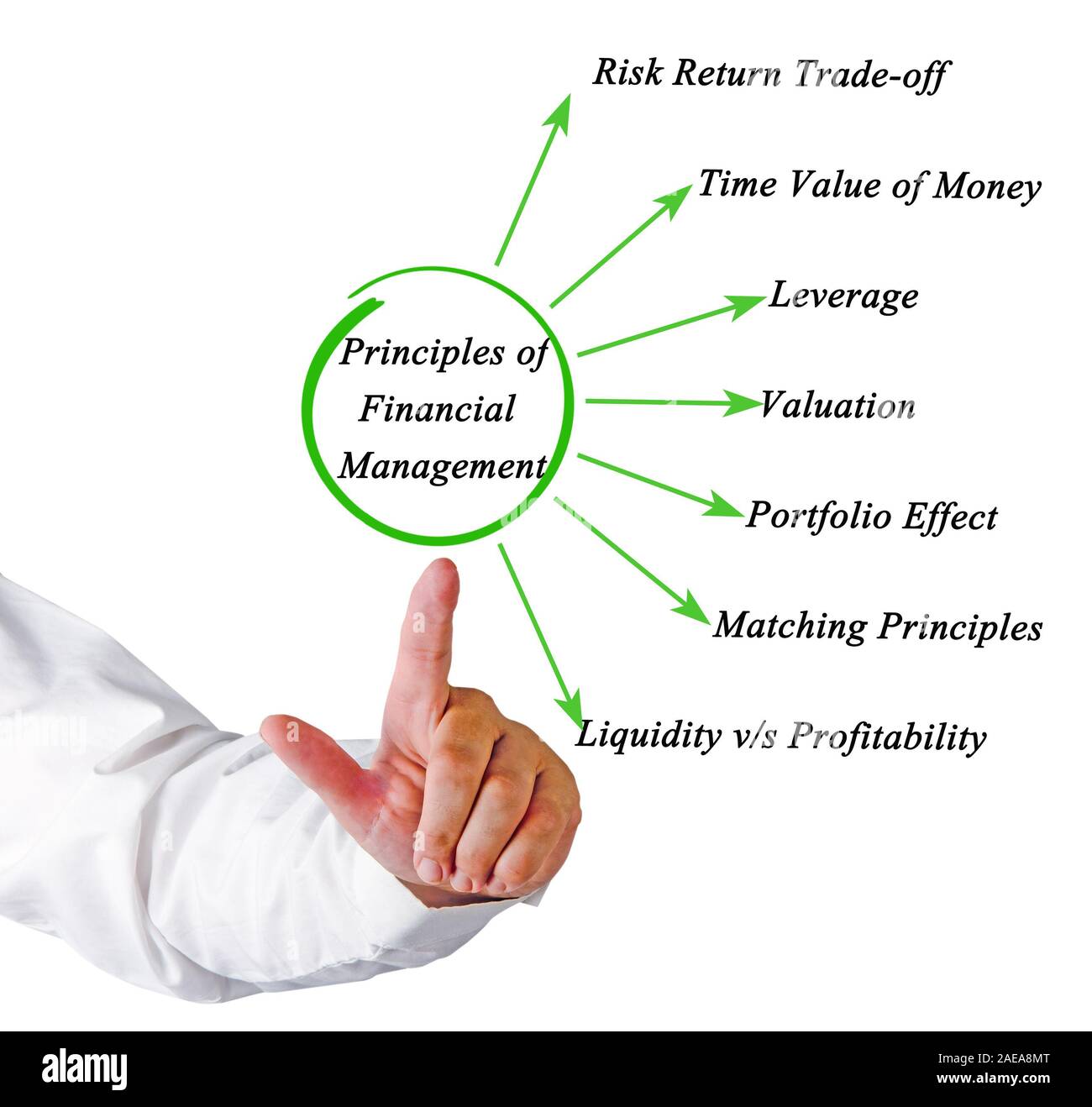 Management principles Cut Out Stock Images & Pictures - Alamy