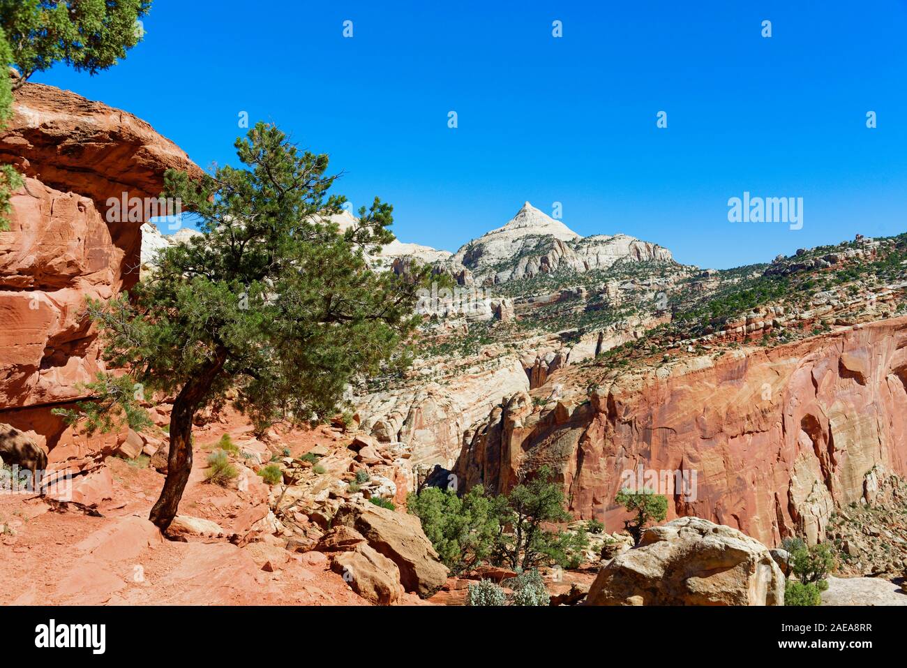 Grand Wash Trail, Capitol Reef National Park, Utah Stock Photo - Alamy