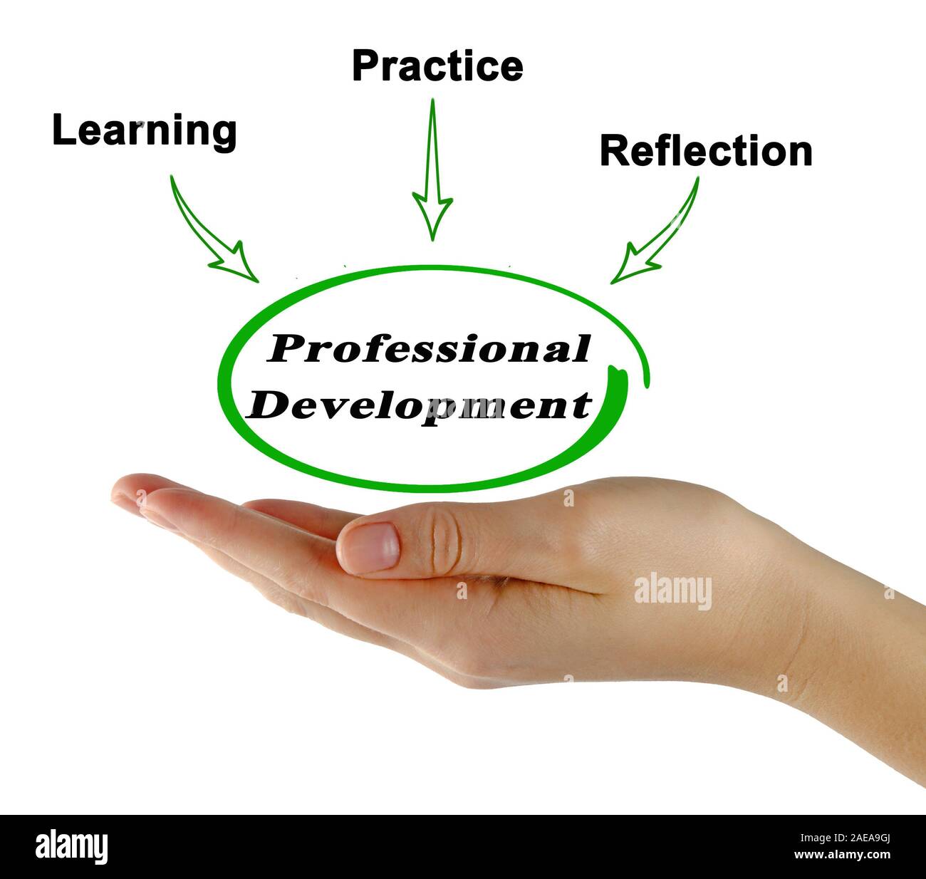 Professional development Cut Out Stock Images & Pictures - Alamy
