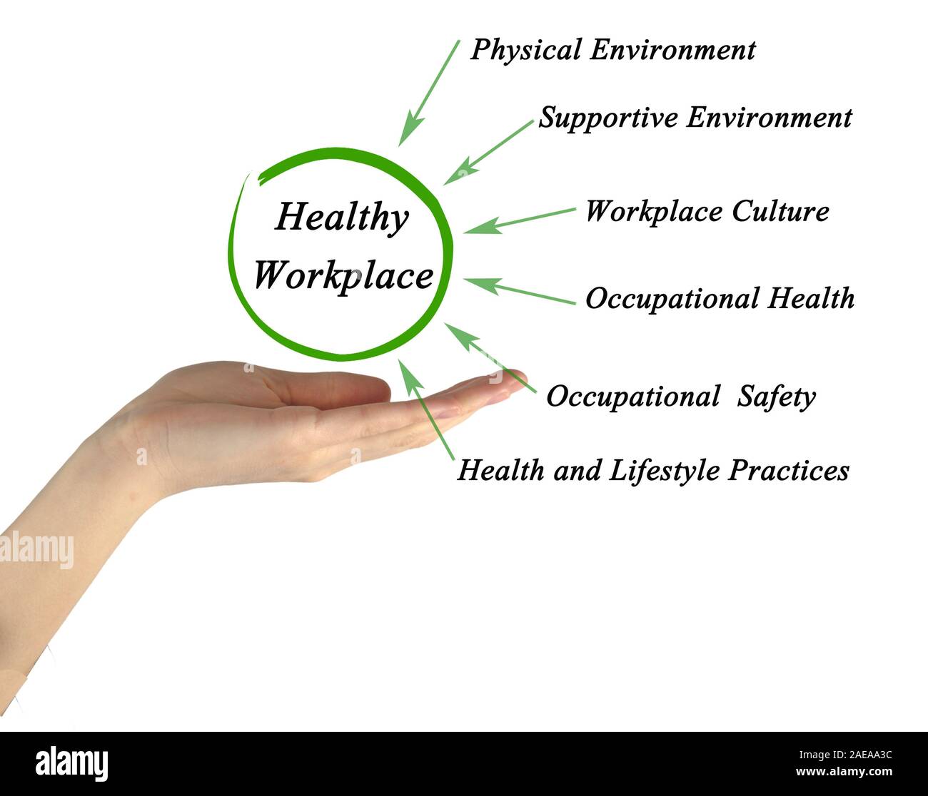 What make Healthy Workplace Stock Photo - Alamy
