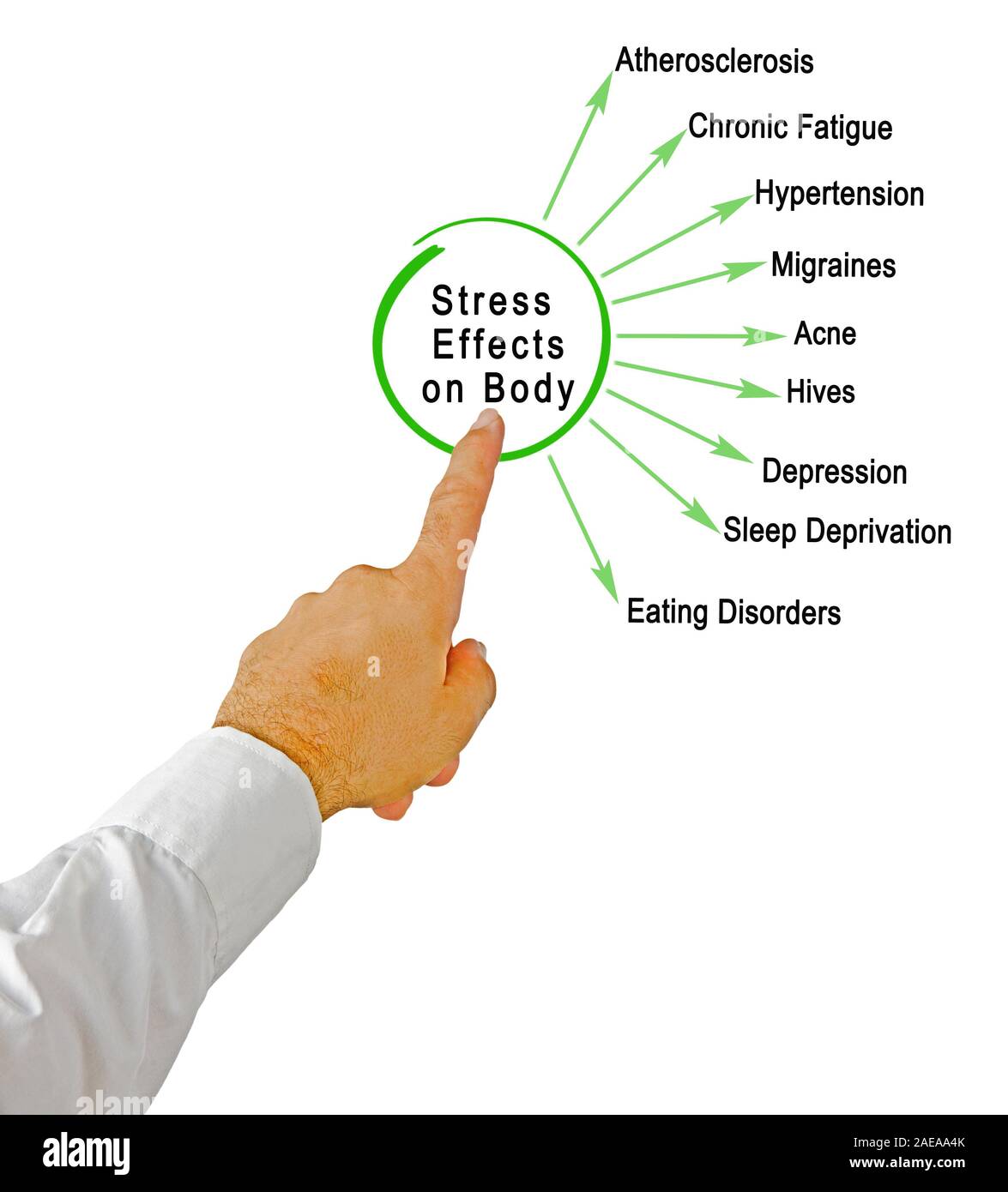 Stress Effects on Body Stock Photo - Alamy