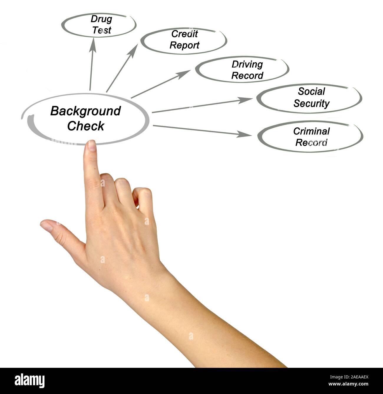 Components of Background Check Stock Photo - Alamy