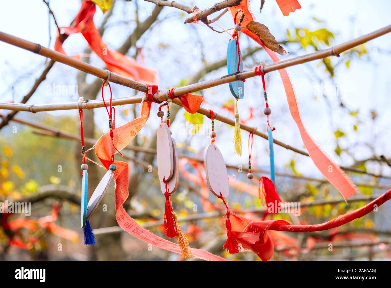 Traditional chinese amulets on the tree. Decoration for celebration new ...