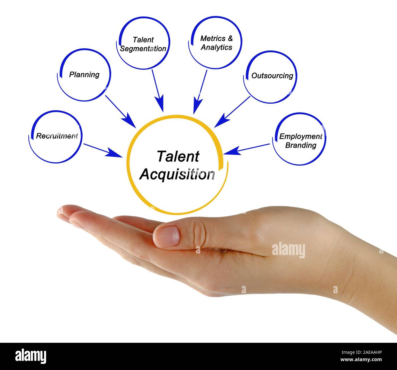 Talent Acquisition strategy Stock Photo - Alamy