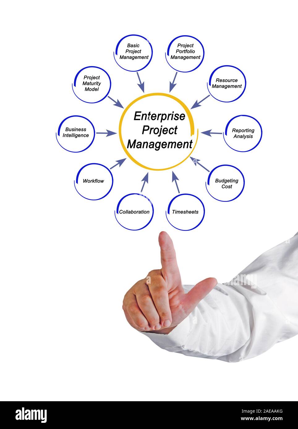 Collaboration project management business Cut Out Stock Images ...