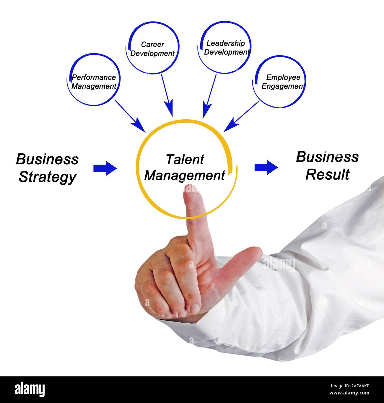 Talent Management Process Stock Photo - Alamy