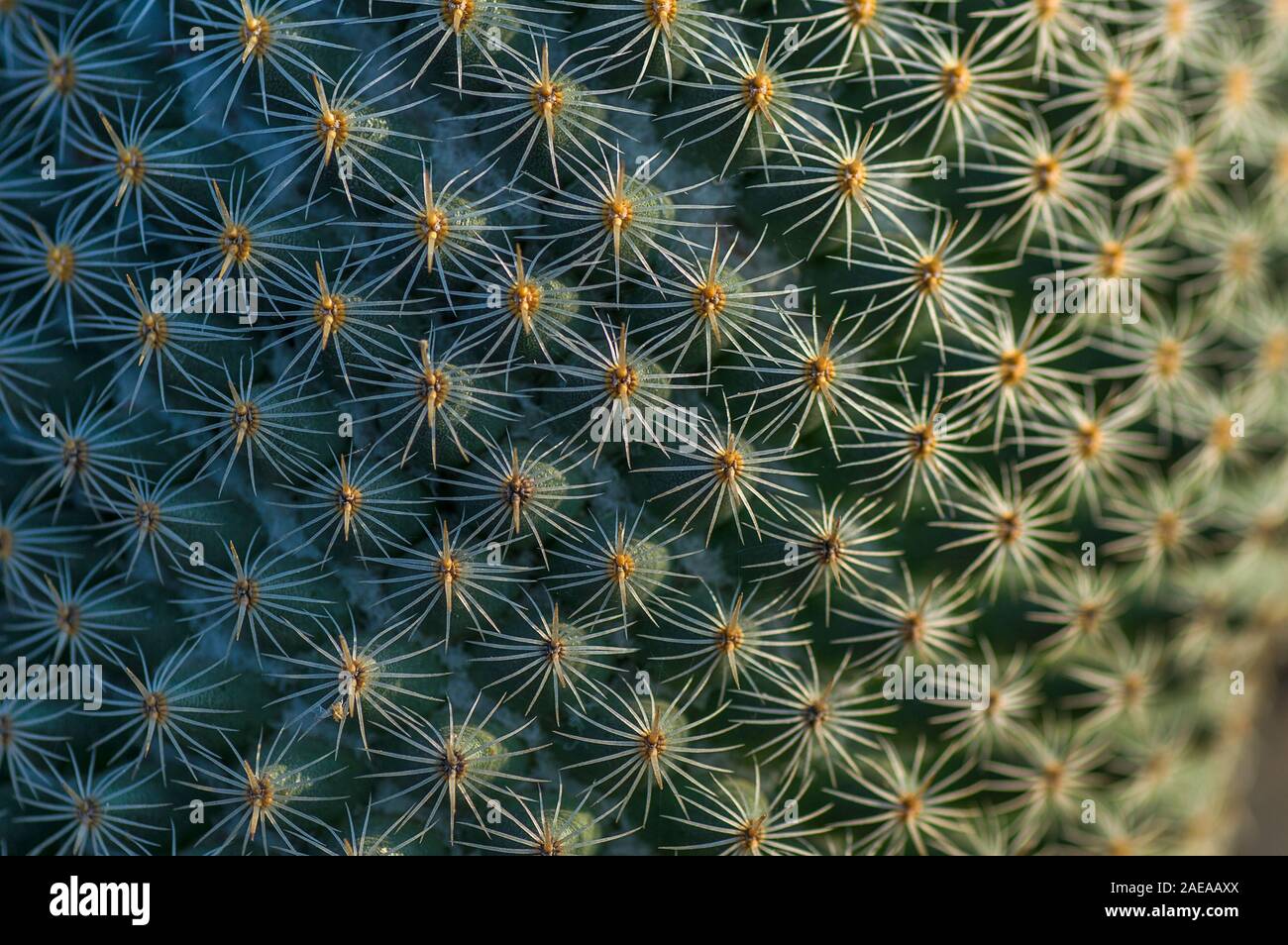 Nivdung hi-res stock photography and images - Alamy