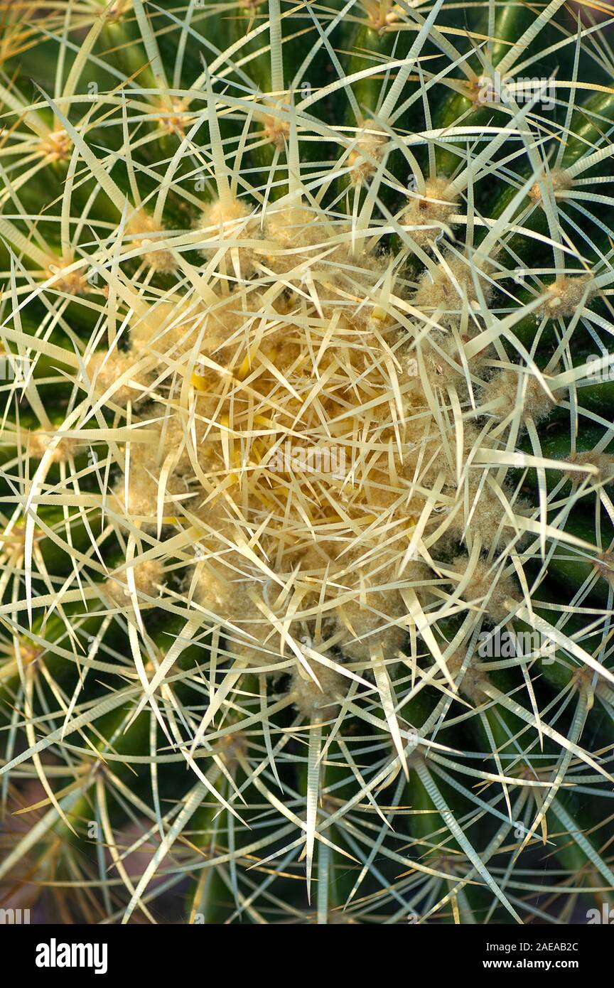 Nivdung hi-res stock photography and images - Alamy