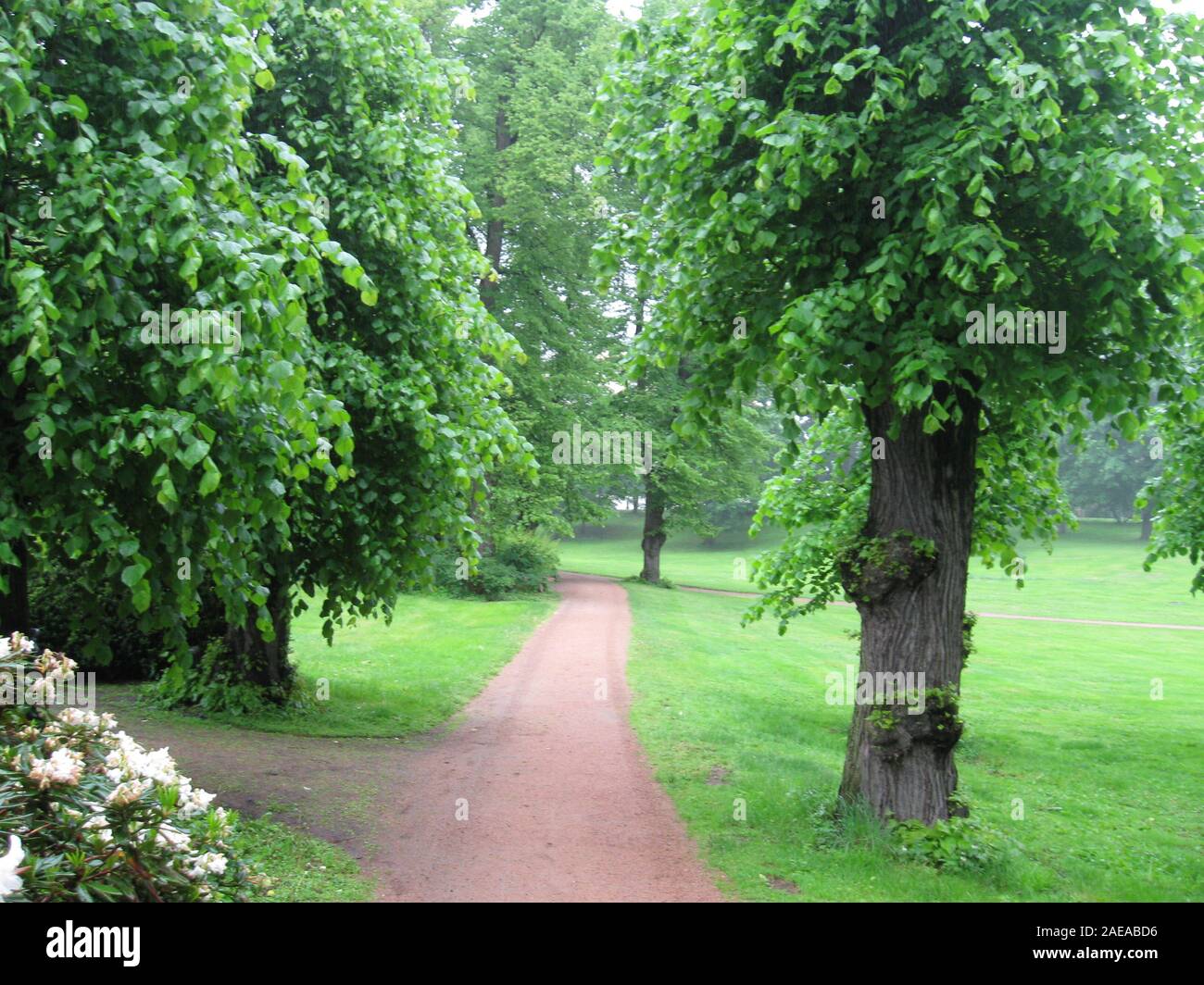 Oslo cityscape, lanfmarks, architecture, places. Low quality pictures ...