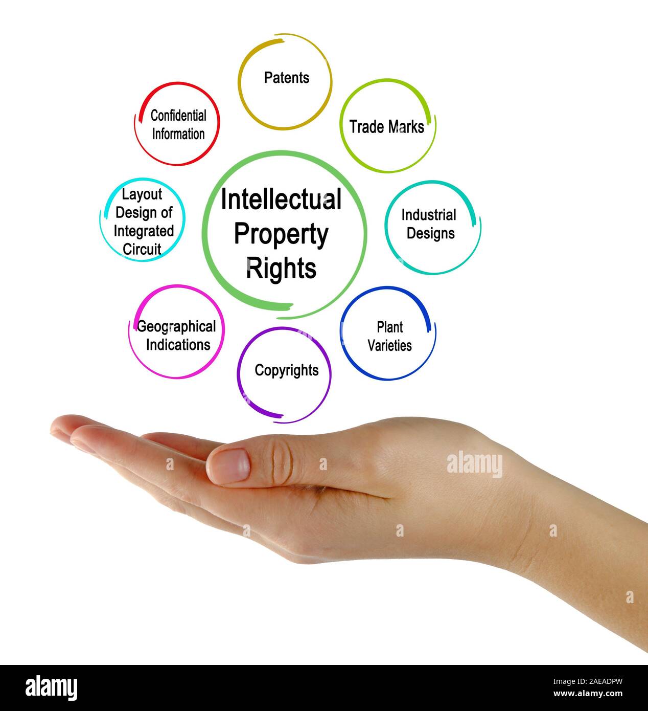 Types of Intellectual Property Stock Photo - Alamy