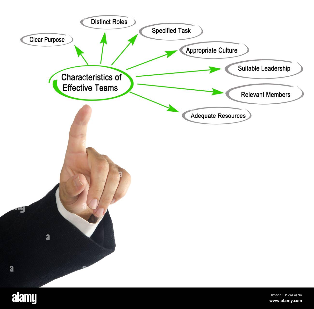 Characteristics of Effective Teams Stock Photo - Alamy