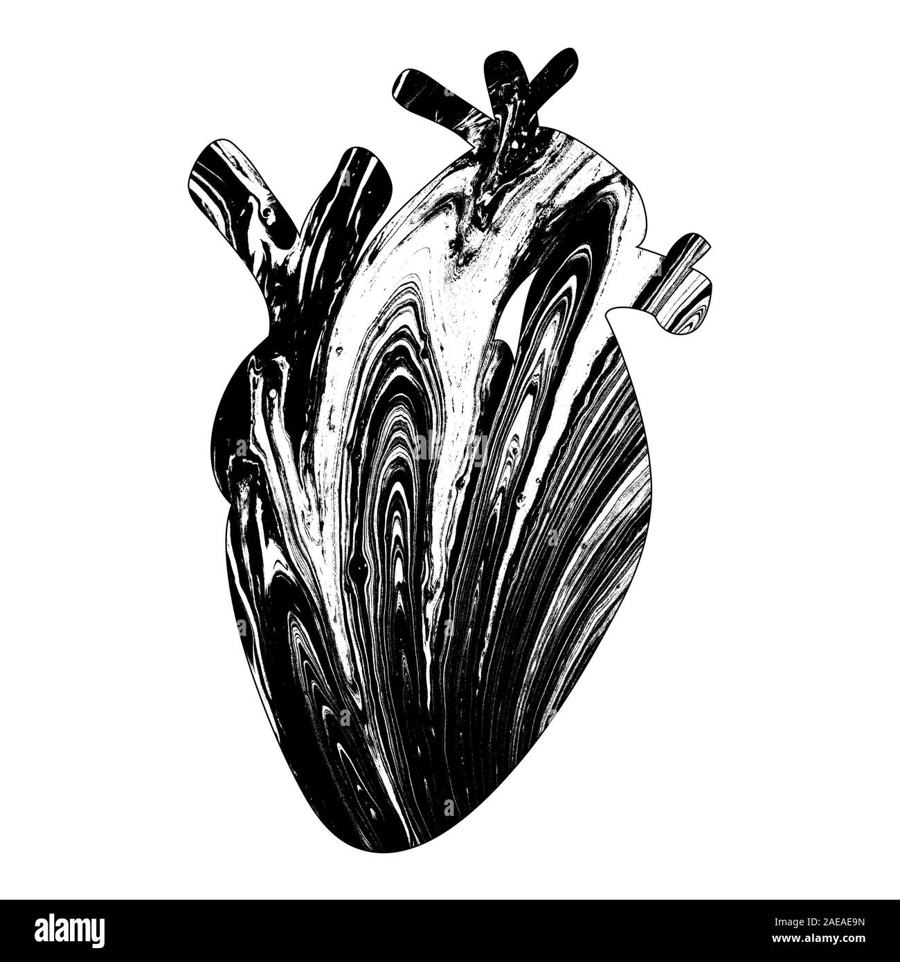 Human Heart Silhouette