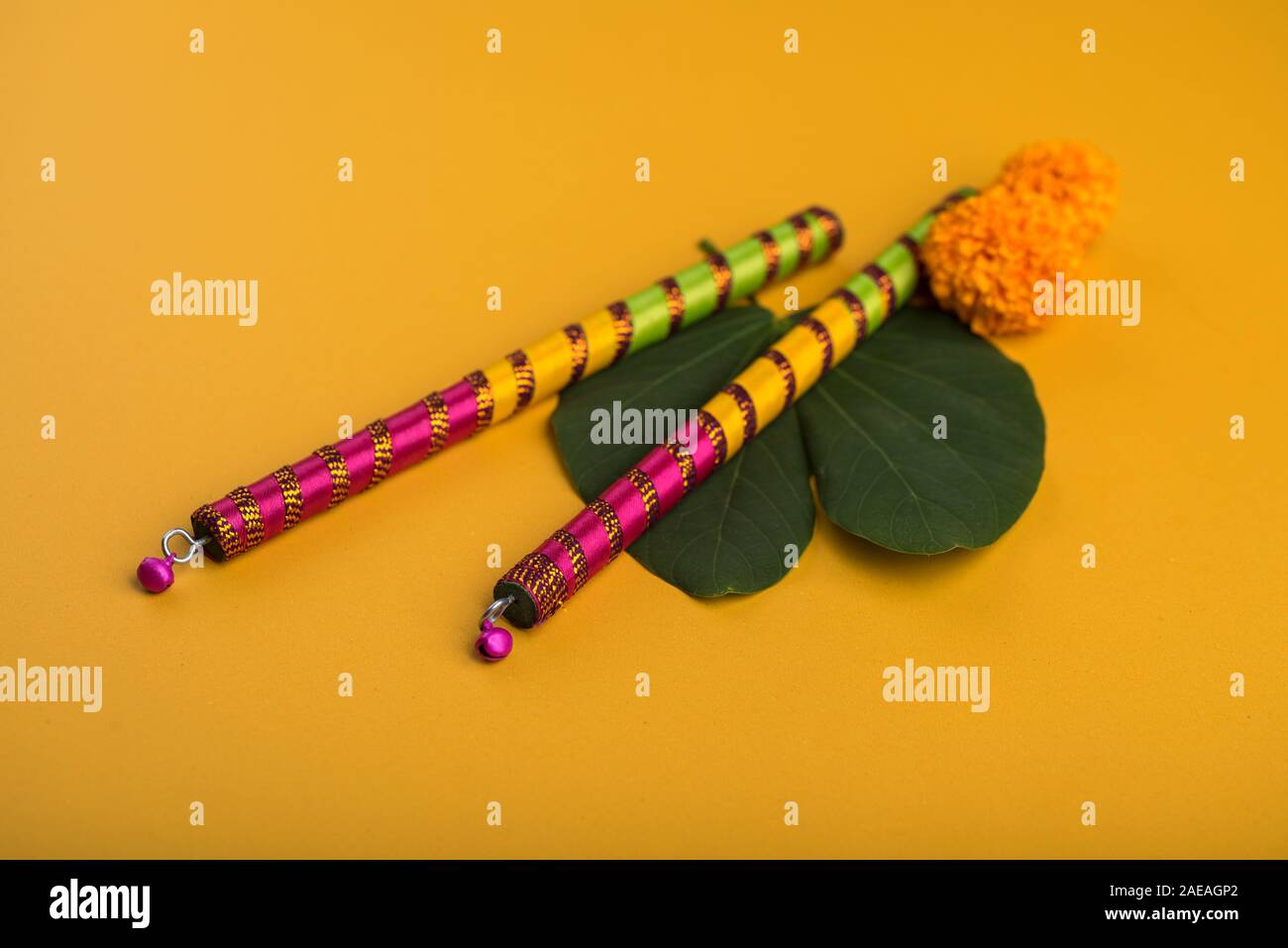 Indian Festival Dussehra and Navratri, showing golden leaf (Bauhinia ...