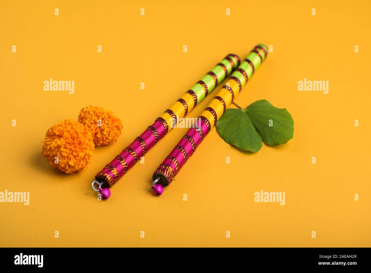 Indian Festival Dussehra and Navratri, showing golden leaf (Bauhinia ...