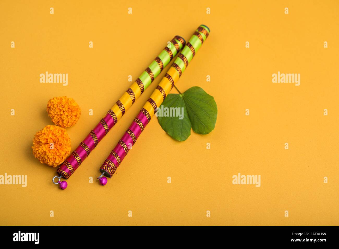 Indian Festival Dussehra and Navratri, showing golden leaf (Bauhinia ...