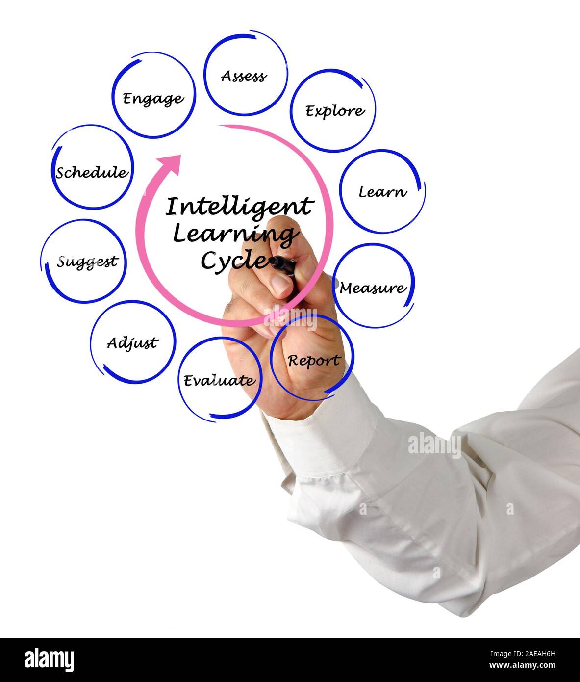 Stages of Intelligent Learning Cycle Stock Photo - Alamy