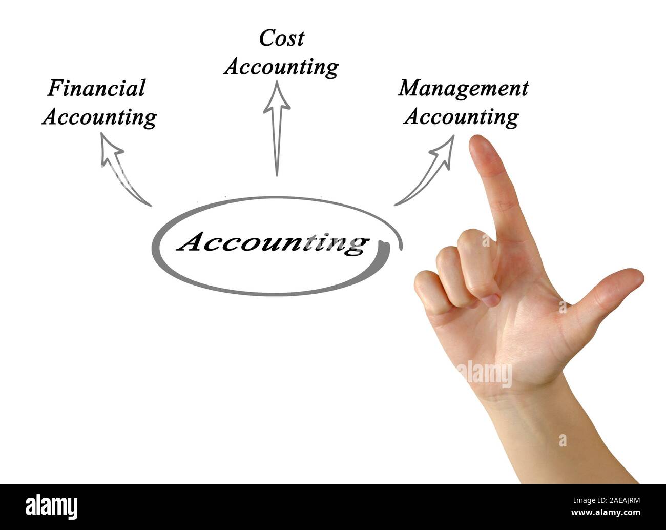 Diagram of Accounting Stock Photo - Alamy