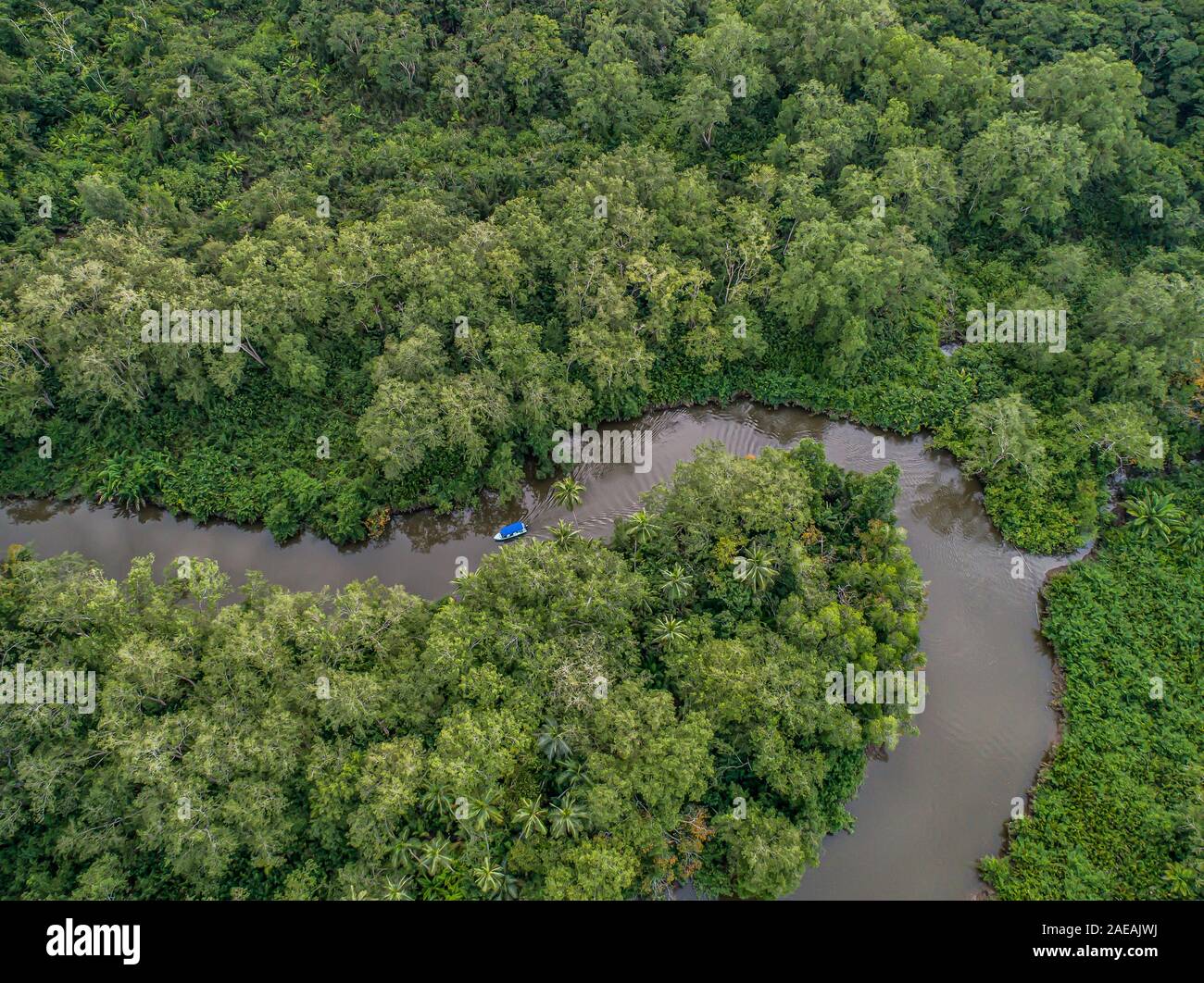 Aerial view of boat in the mangrove Rio Sierpe river in Costa Rica deep ...
