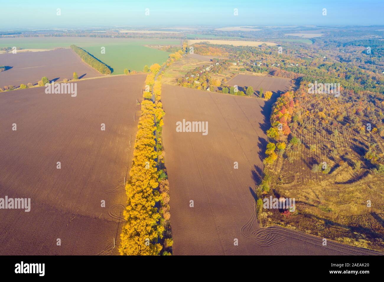 Rural landscape. View from above of arable fields and rows of trees ...