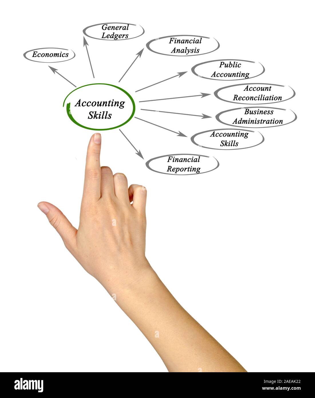 Diagram of Accounting Skills Stock Photo - Alamy