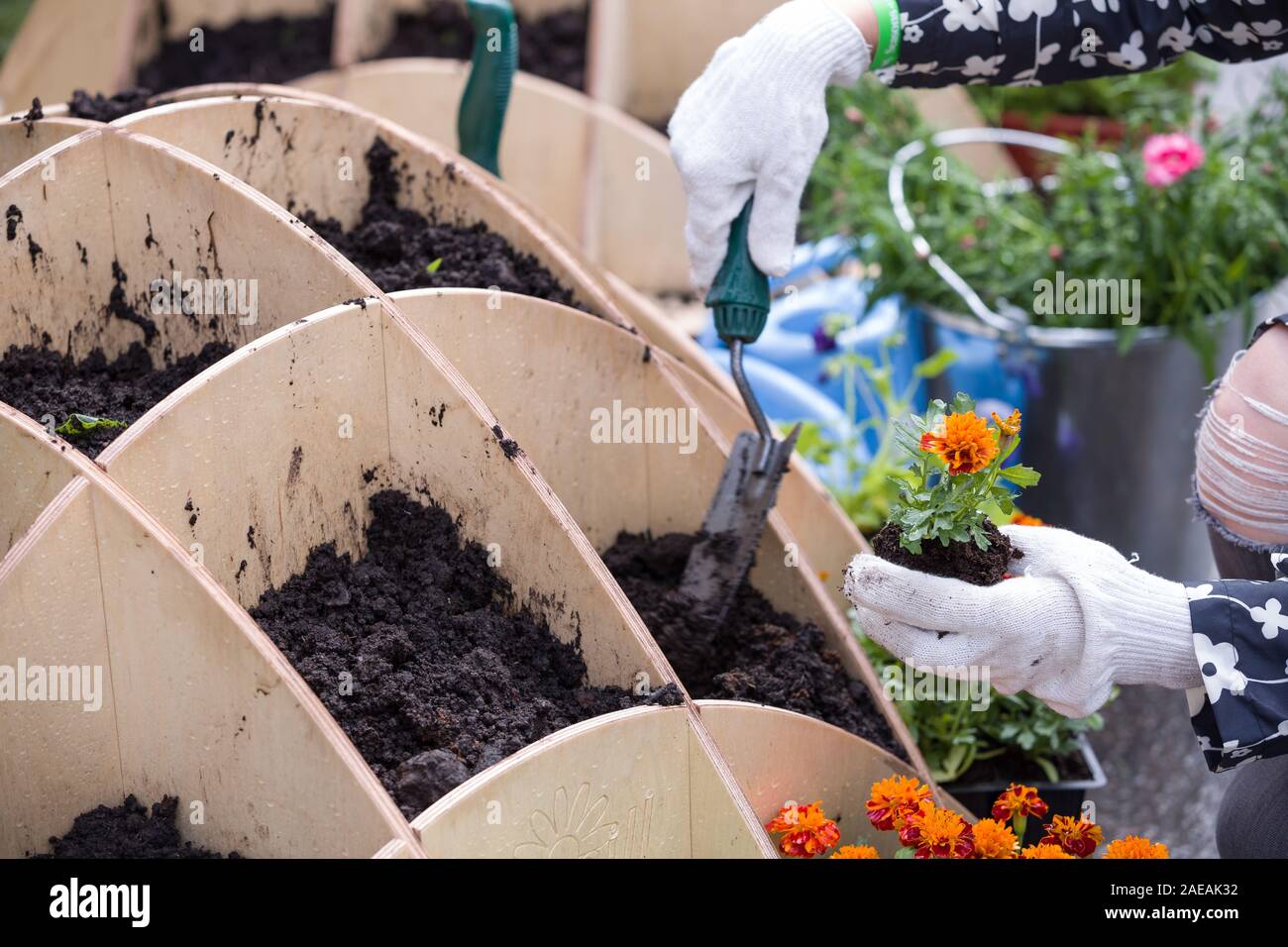 Small garden hand tools hi-res stock photography and images - Alamy