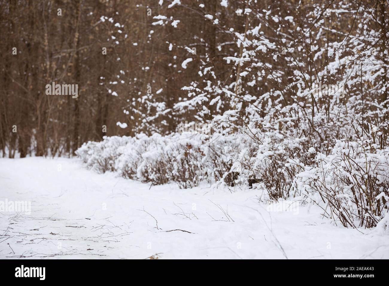 Beautiful snowy landscape winter hi-res stock photography and images ...