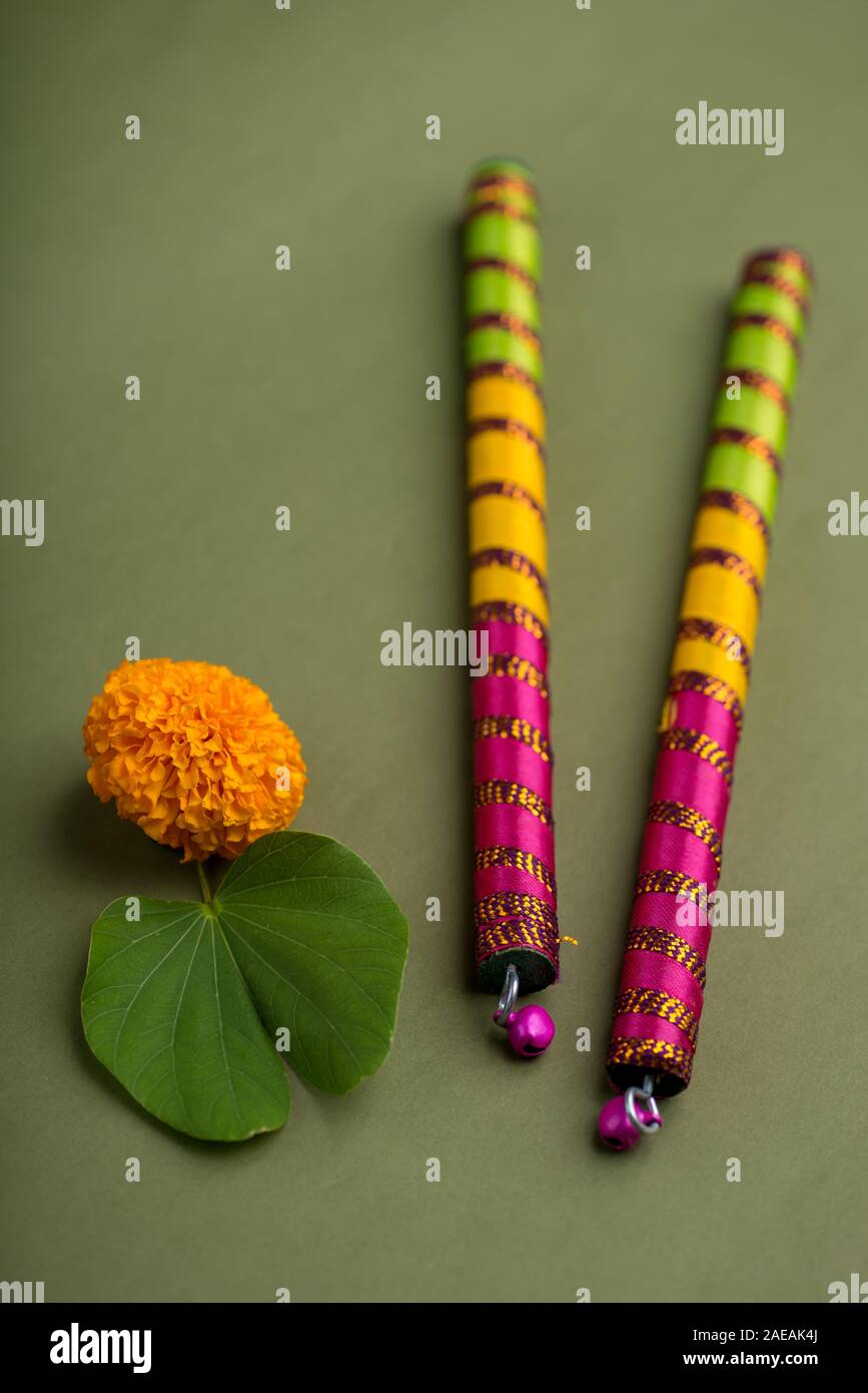 Indian Festival Dussehra and Navratri, showing golden leaf (Bauhinia ...