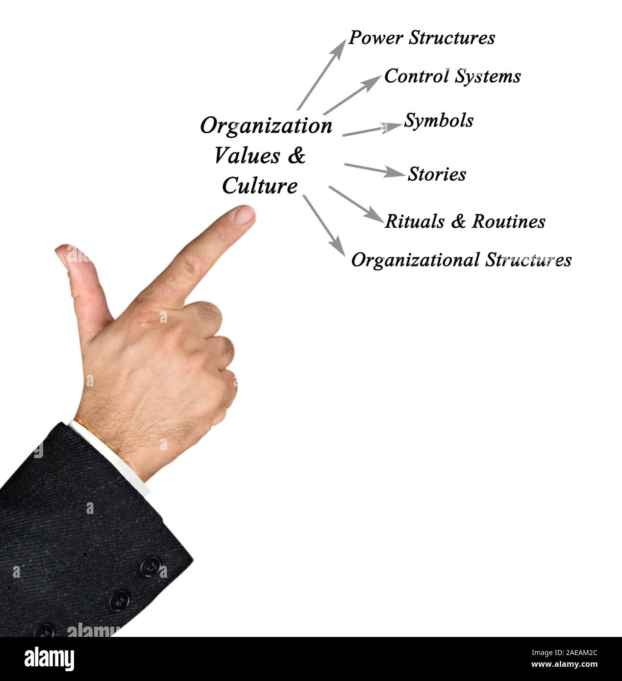 Diagram of Organization Values & Culture Stock Photo - Alamy