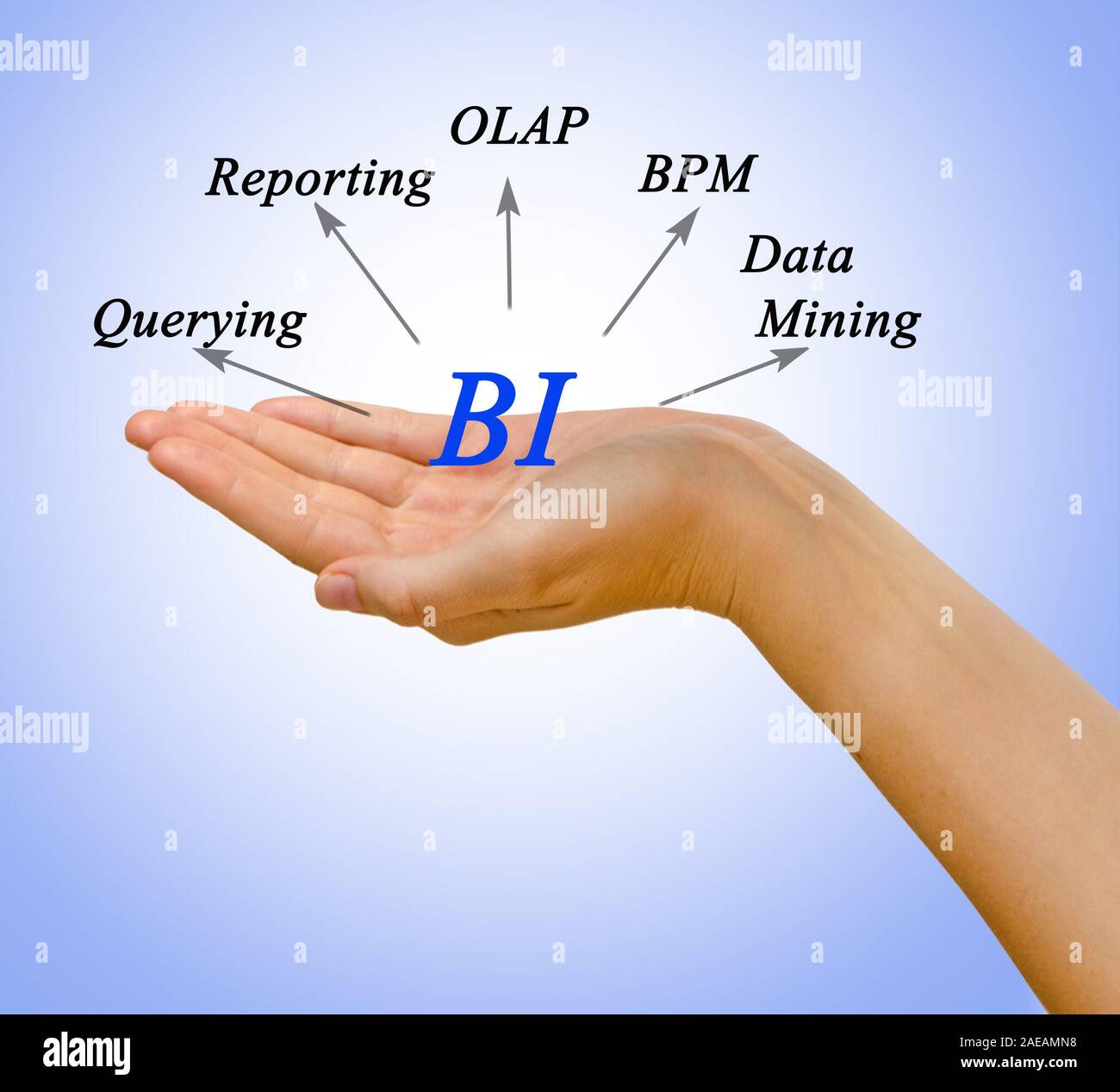 Diagram of Business Intelligence Stock Photo - Alamy