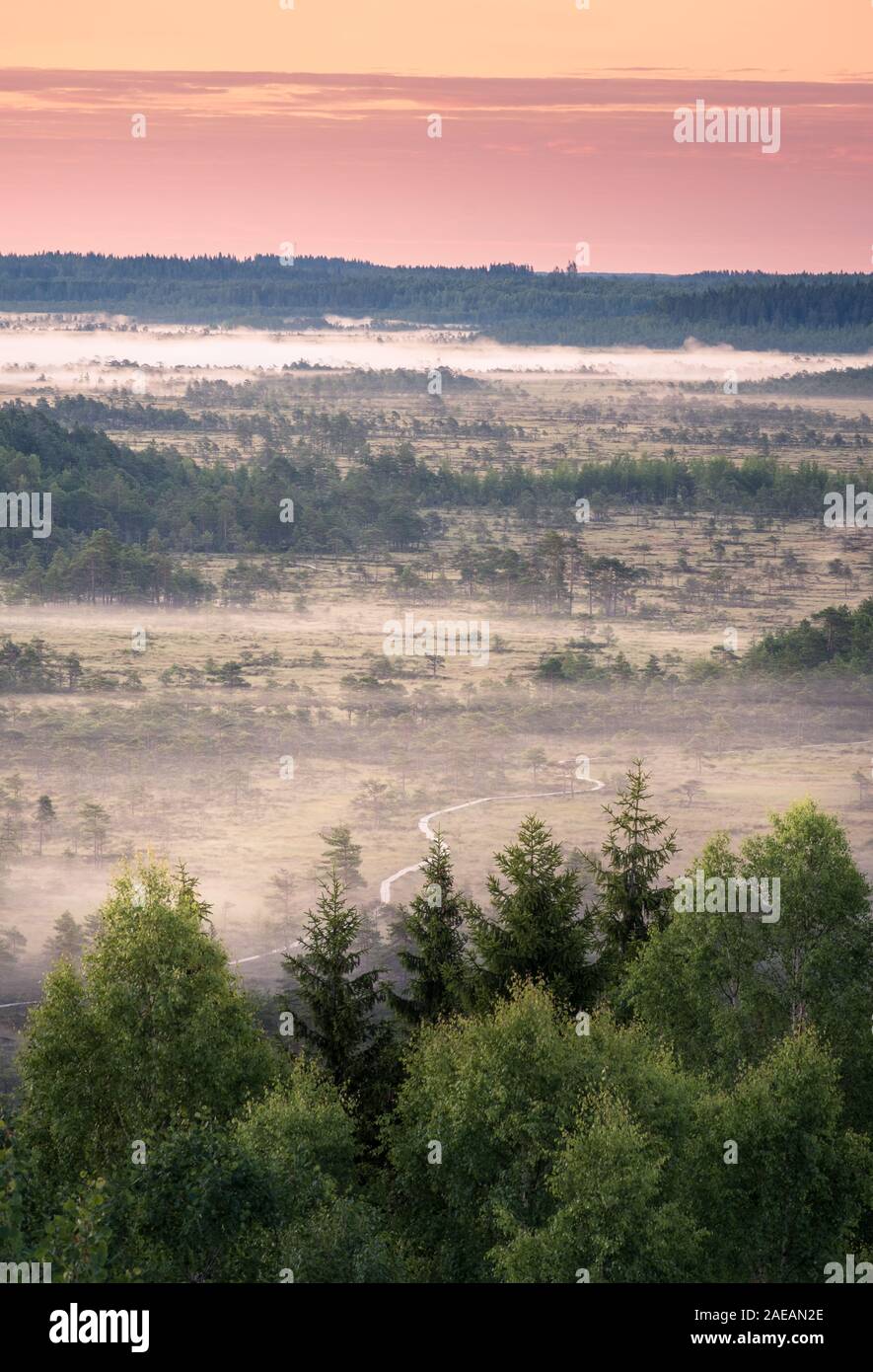 Scenic landscape with morning light and foggy forest at swamp in ...