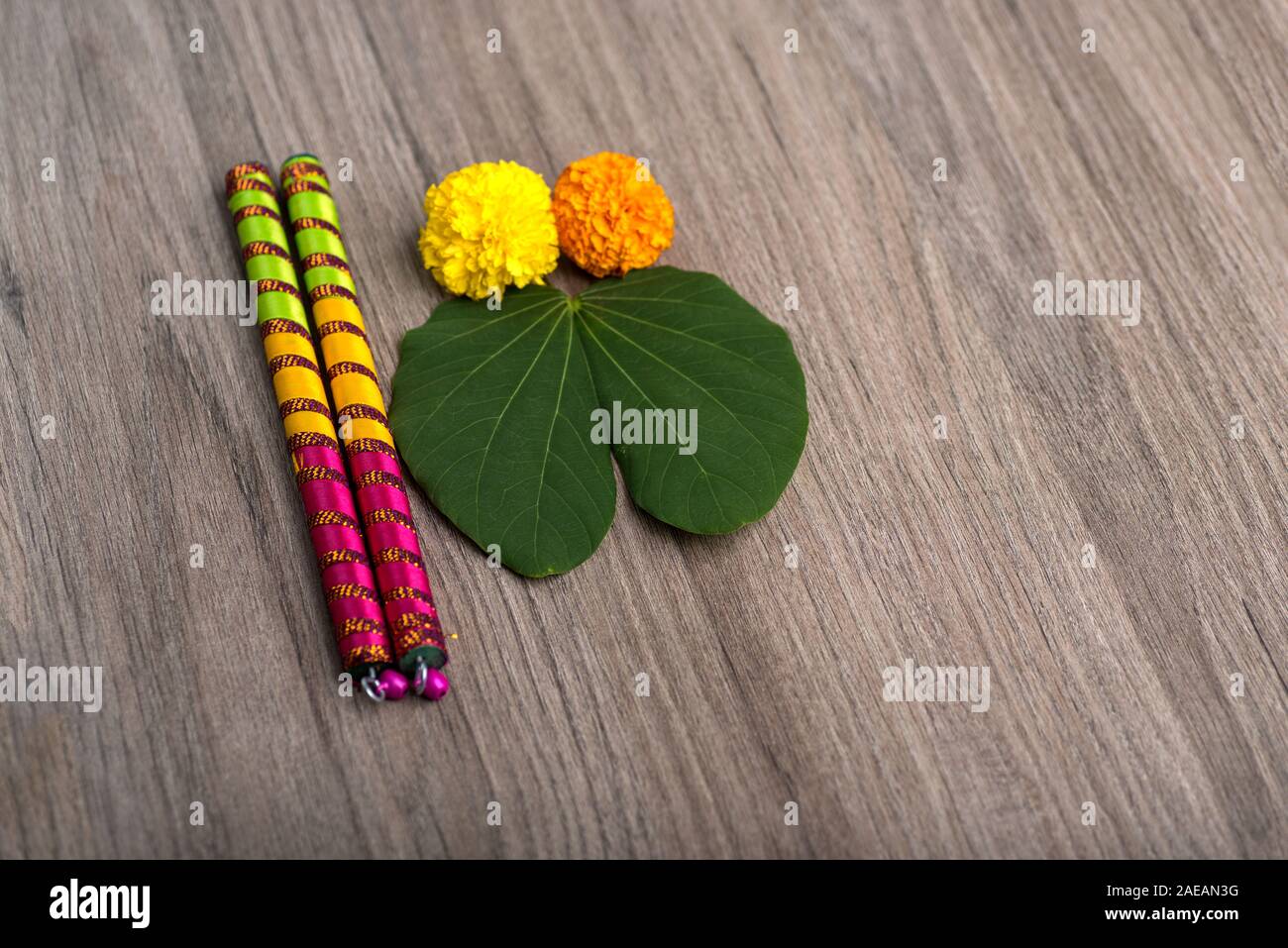 Indian Festival Dussehra and Navratri, showing golden leaf (Bauhinia ...