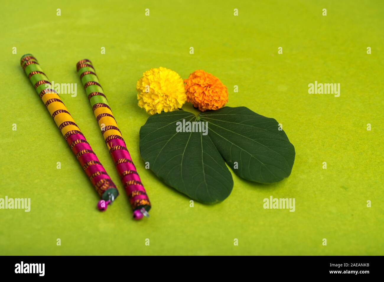 Indian Festival Dussehra and Navratri, showing golden leaf (Bauhinia ...