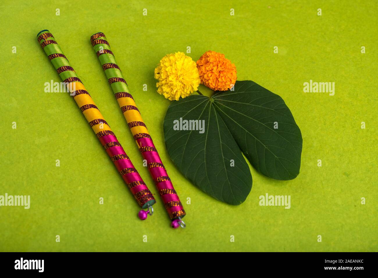 Indian Festival Dussehra and Navratri, showing golden leaf (Bauhinia ...