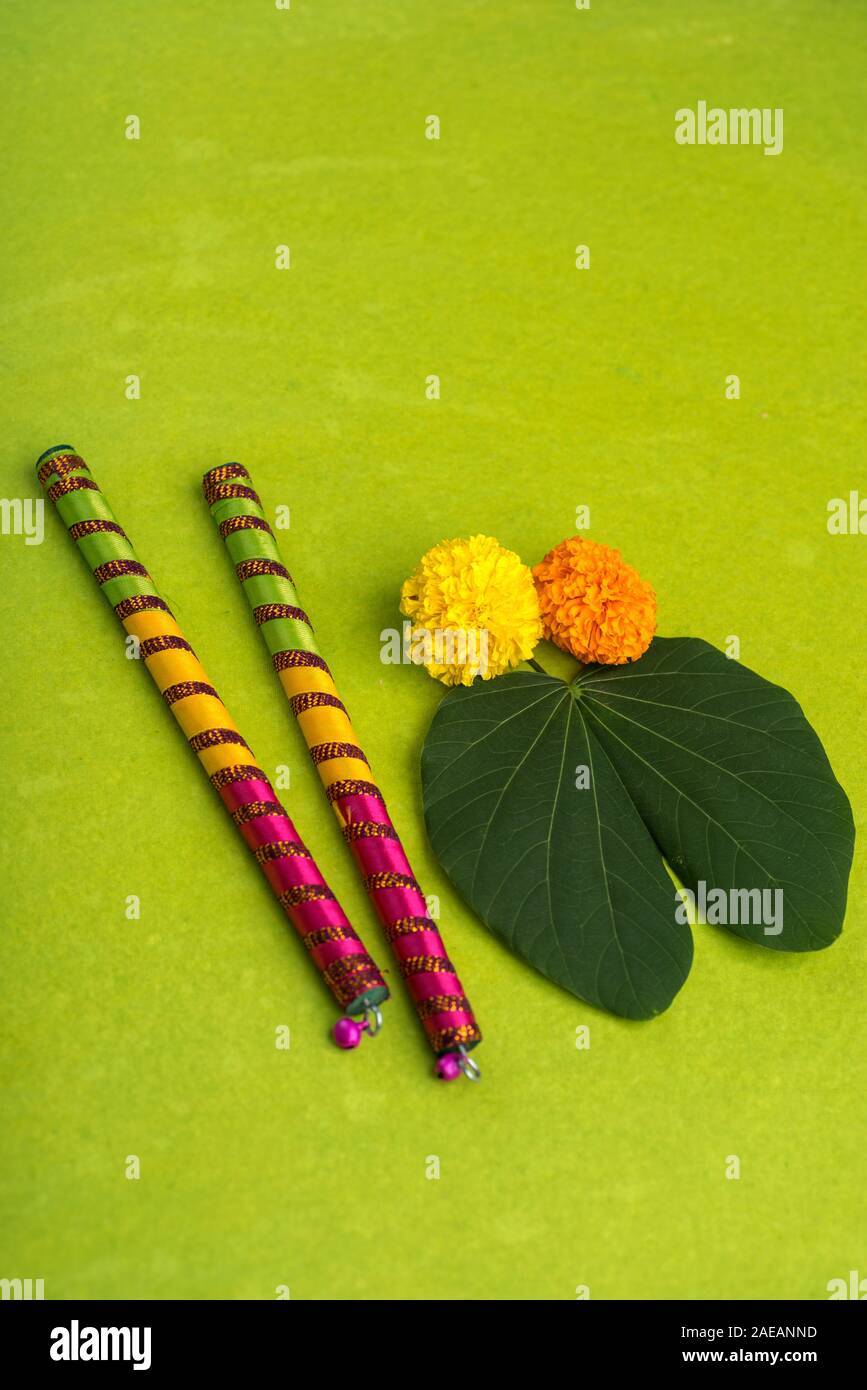 Indian Festival Dussehra and Navratri, showing golden leaf (Bauhinia ...