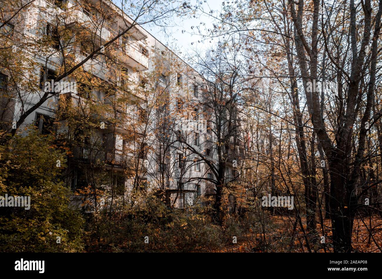 abandoned house among trees in the infected city of Chernobyl Stock ...