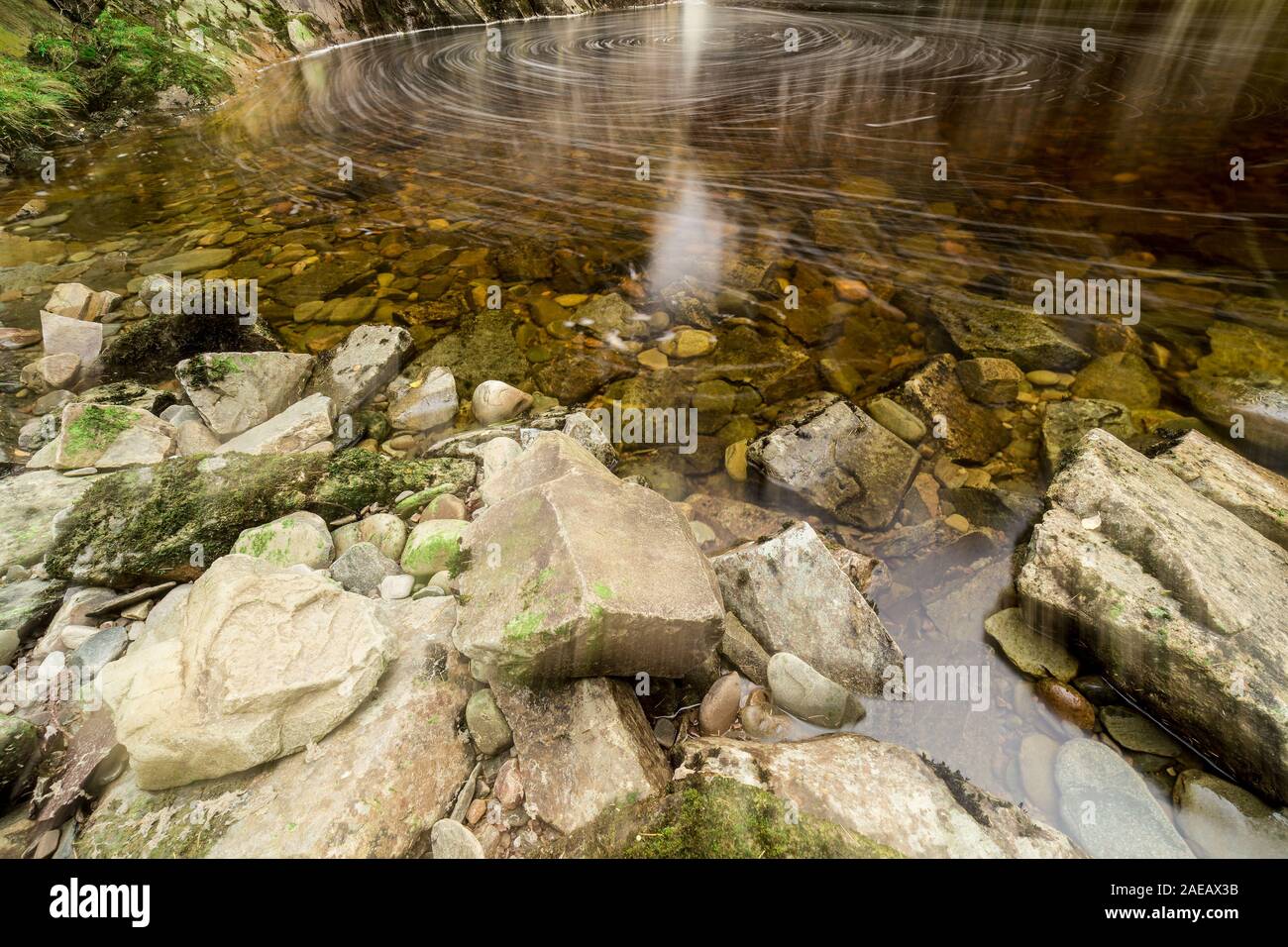 Forest in Scotland. View of a small forest river that flows down a ...