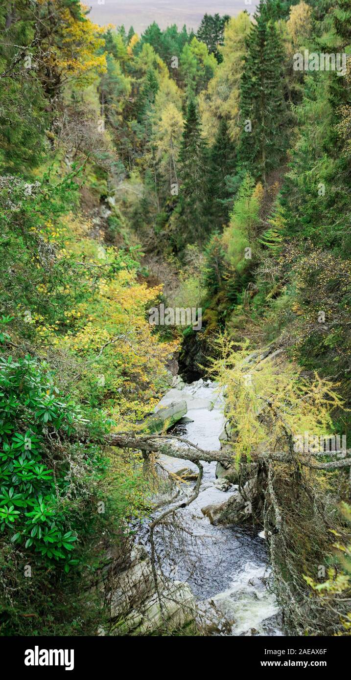 River flows down slope pine hi-res stock photography and images - Alamy