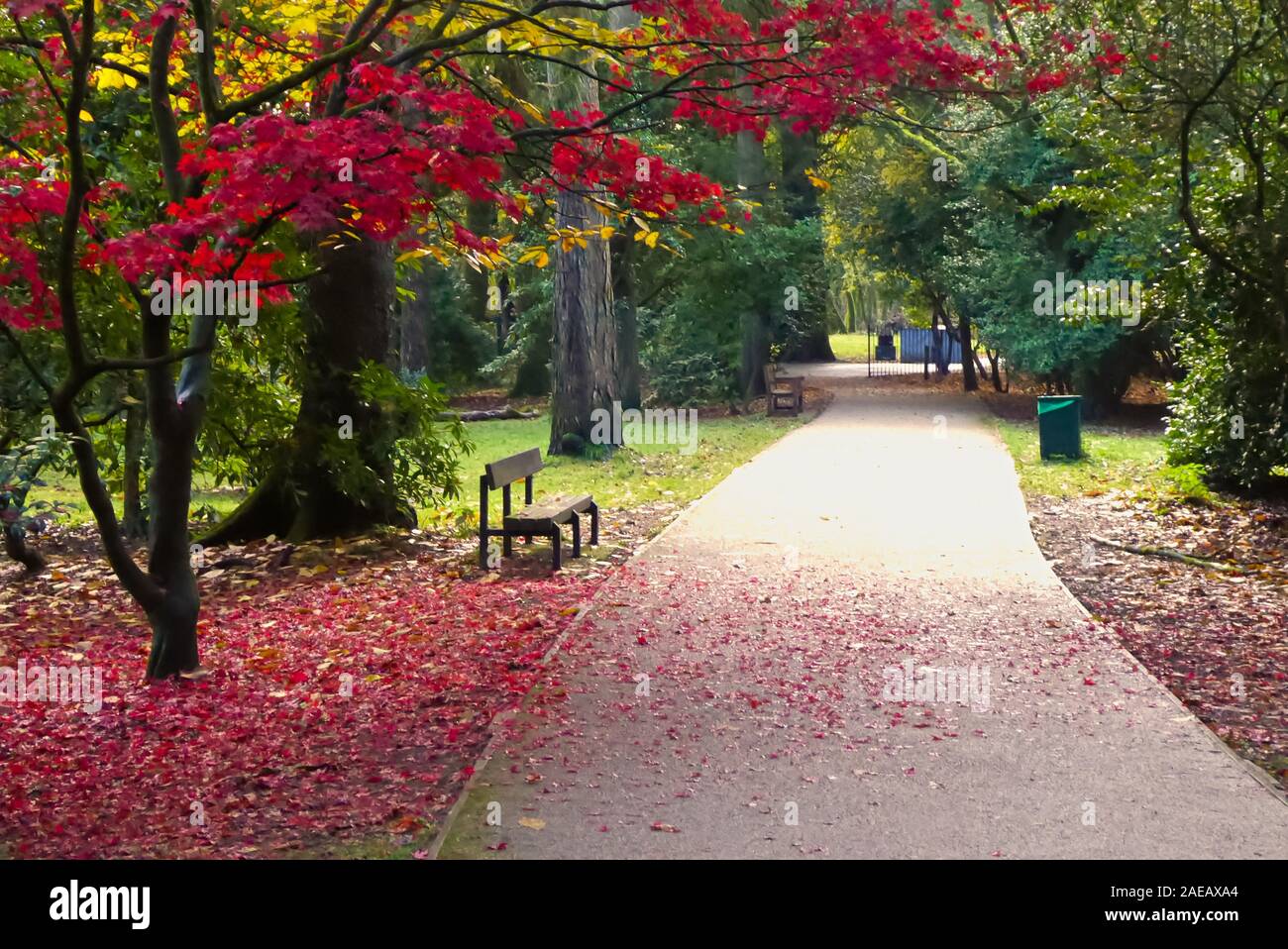 Cefn onn park hi-res stock photography and images - Alamy