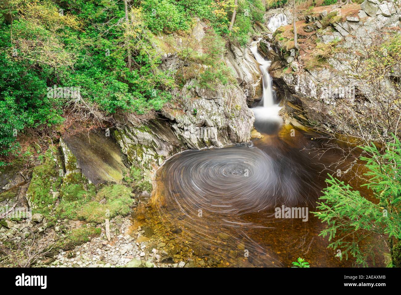 Forest in Scotland. View of a small forest river that flows down a ...
