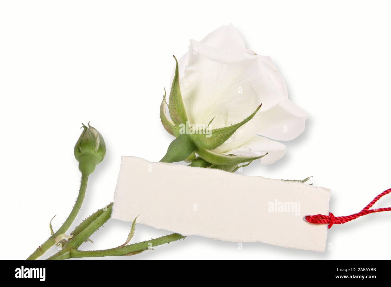 Freshness label Cut Out Stock Images & Pictures - Alamy