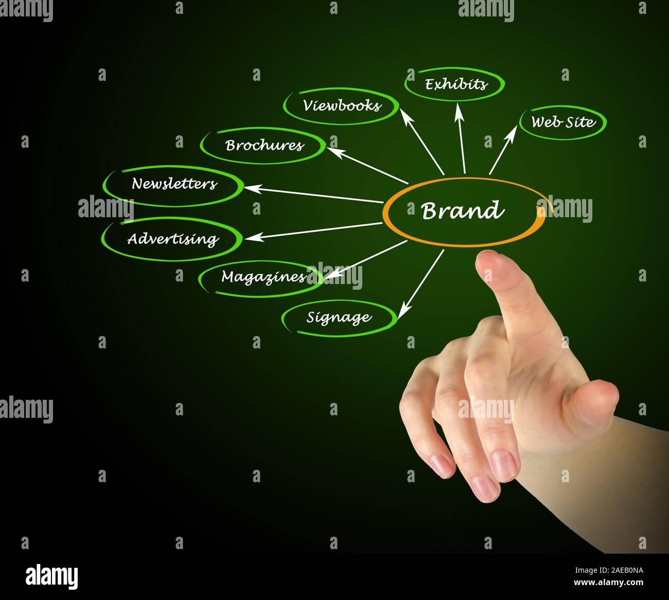 Diagram of brand Stock Photo - Alamy
