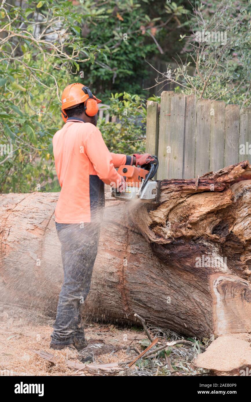 Sydney Aust Nov 26 2019: A sudden storm ripped through suburbs in ...