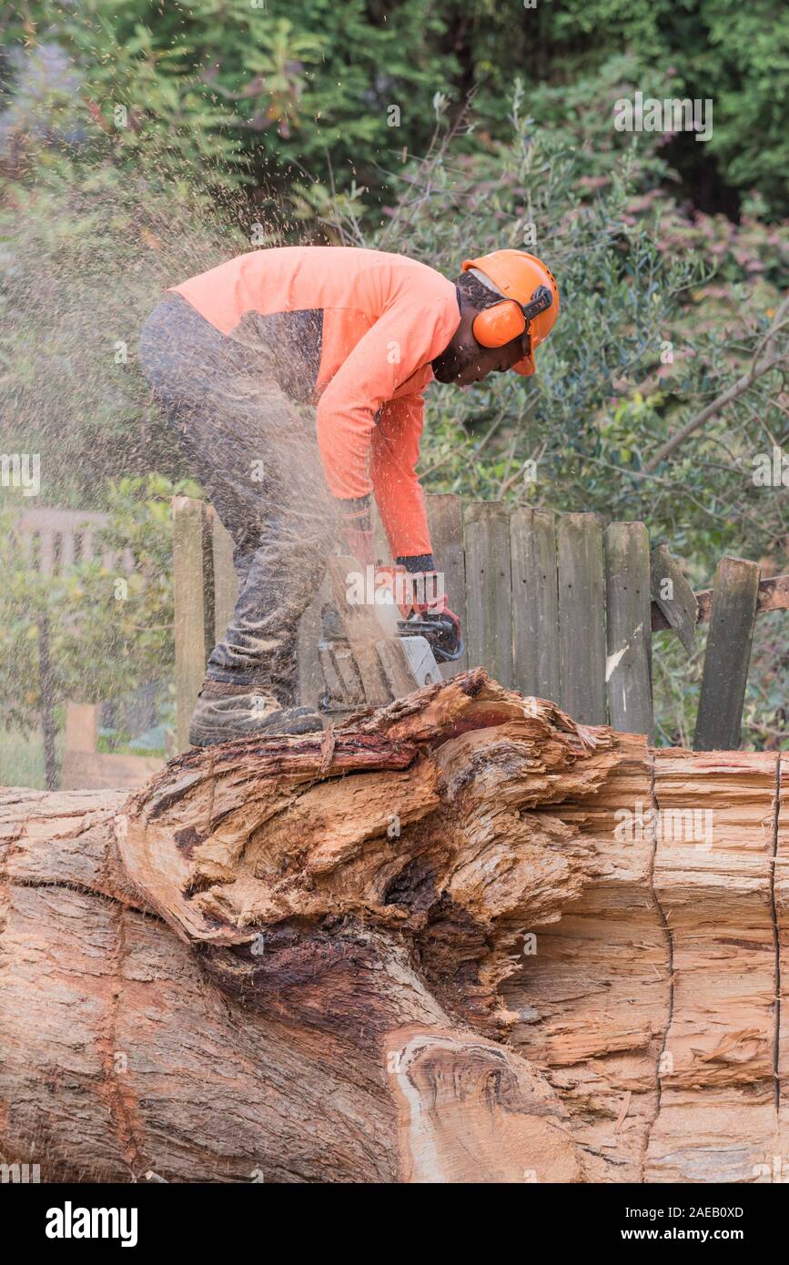Sydney Aust Nov 26 2019: A sudden storm ripped through suburbs in ...